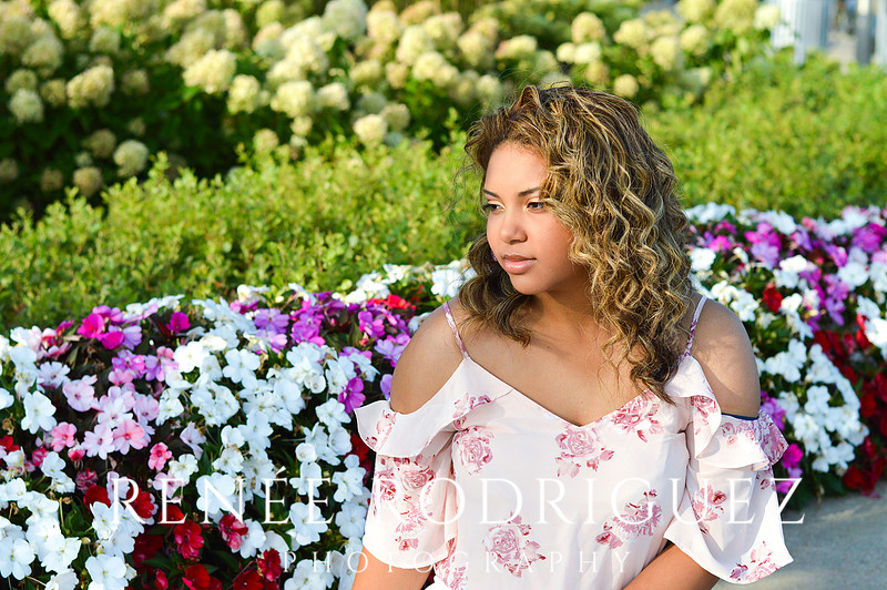 Renee Rodriguez Photography | Blog